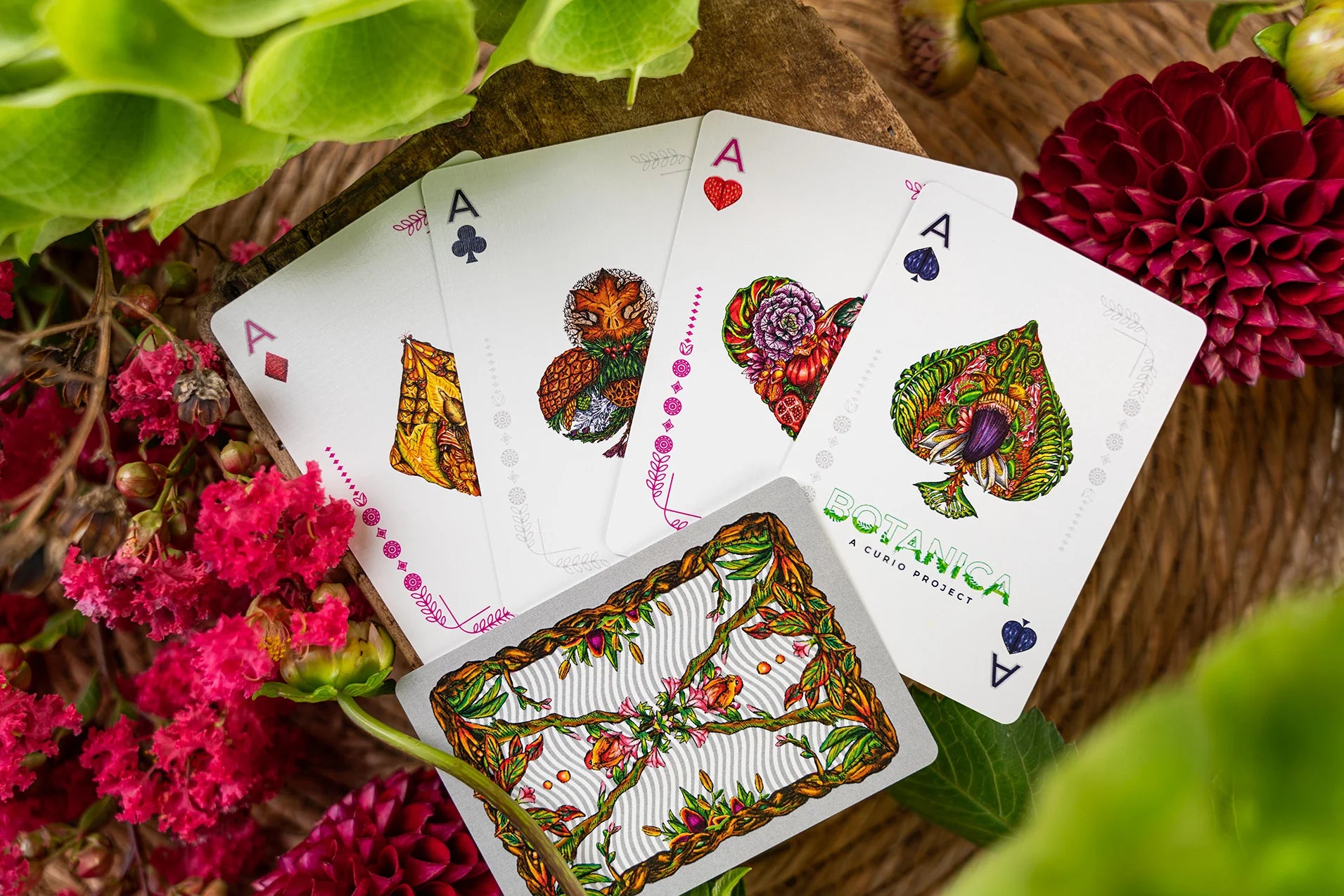 Botanica Playing Cards - Art based Cards – Rare Playing Cards