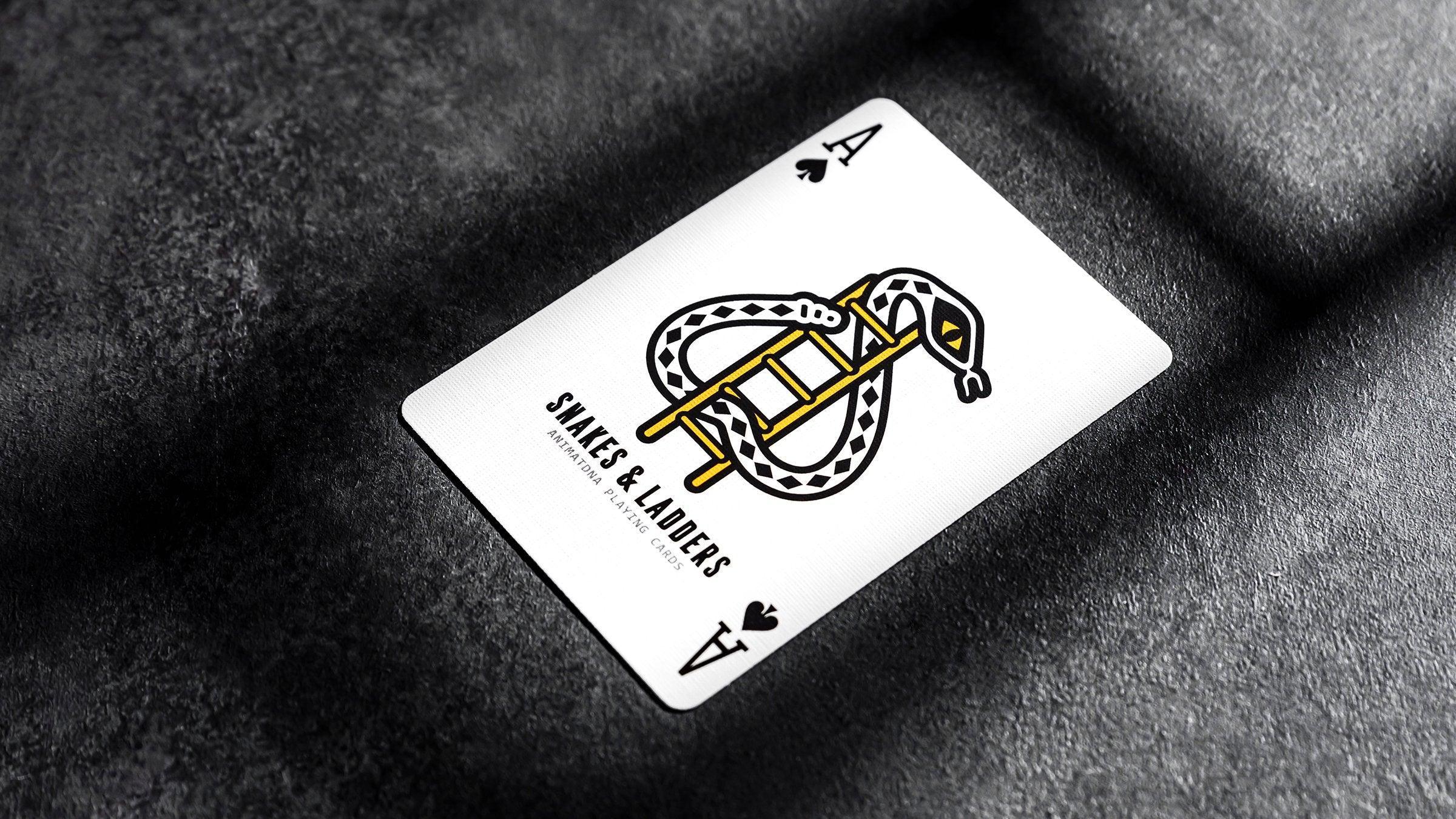 Snakes and Ladders Playing Cards by Mechanic Industries – Rare Playing ...